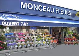Ouvrir une franchise MONCEAU FLEURS pour devenir franchisé